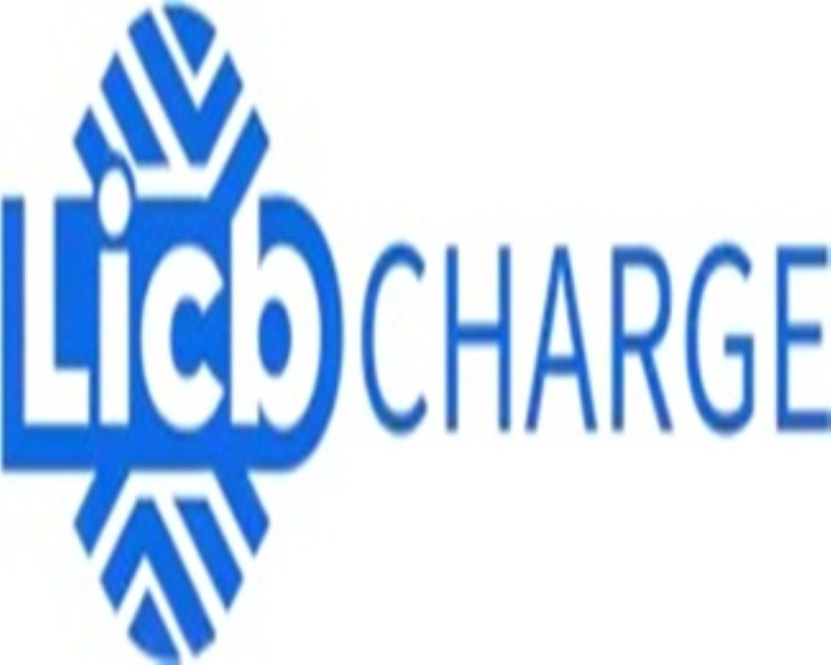 China LiCB AC DC EV Charger Co., Ltd | BeauteTrade