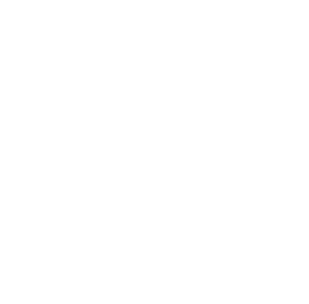 Bogt General Trading LLC | BeauteTrade