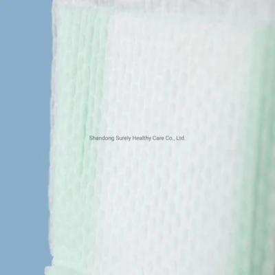 Adult Booster (Disposable liner/straight type insert/changing for ...